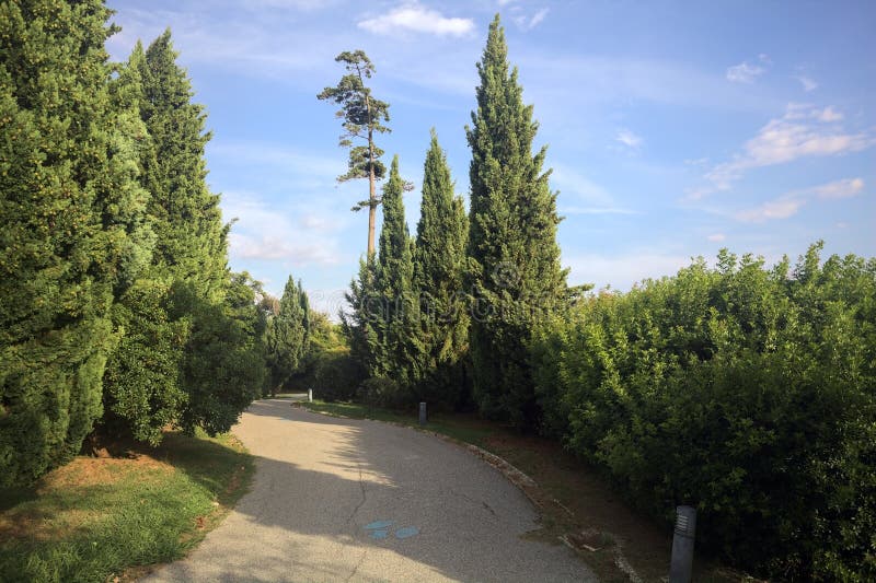 Trail in a park at sunset stock image. Image of leisure - 341240883