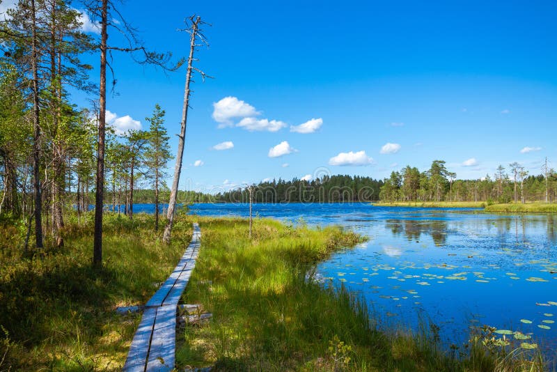 Erasing the Past stock photo. Image of forget, redo, delete - 15669488