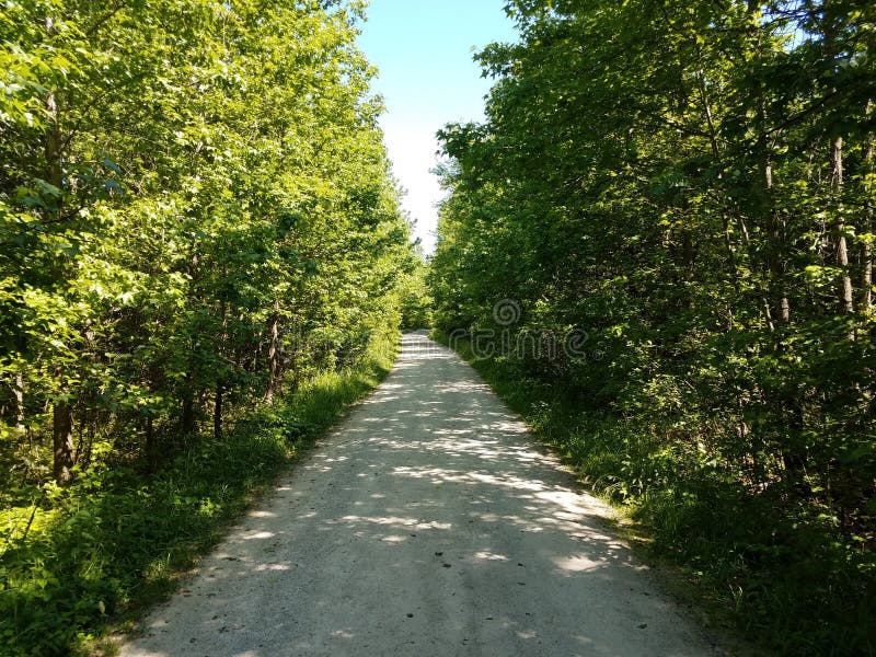 Trail or Path with Green Trees and Plants Stock Image - Image of trees ...