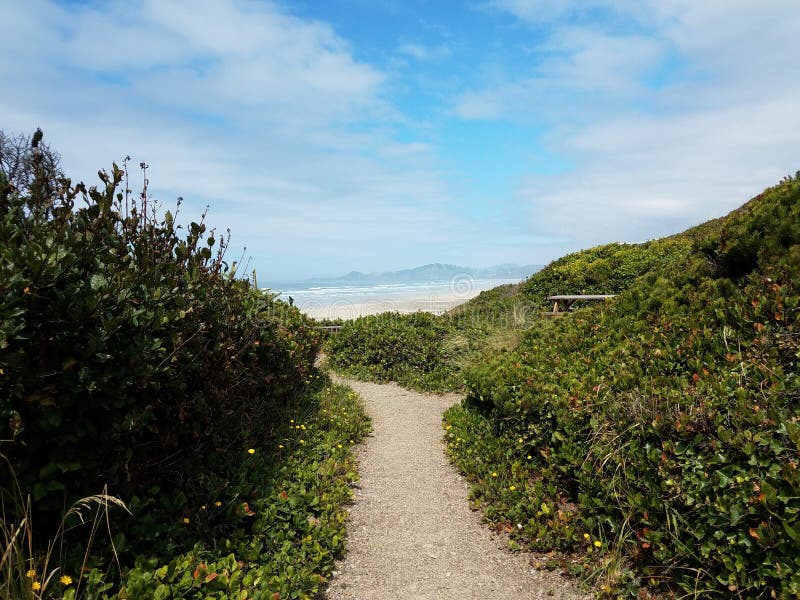 Trail or Path Leading To Beach with Sand and Waves Stock Image - Image ...