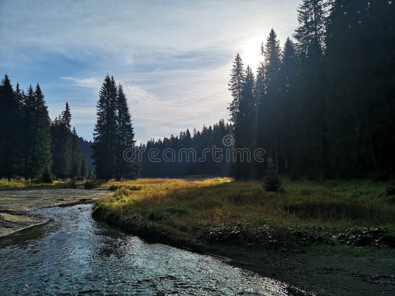 Trail Path Near River in the Mountains Stock Photo - Image of ...