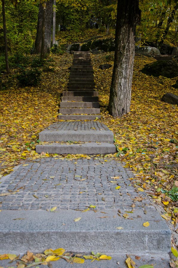 Trail Pathway in Fall Season Park with Yellow Fallen Leaves Stock Image ...