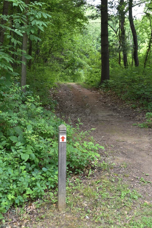 Trail with Red Arrow Marker Stock Photo - Image of vertical, tree: 78711420