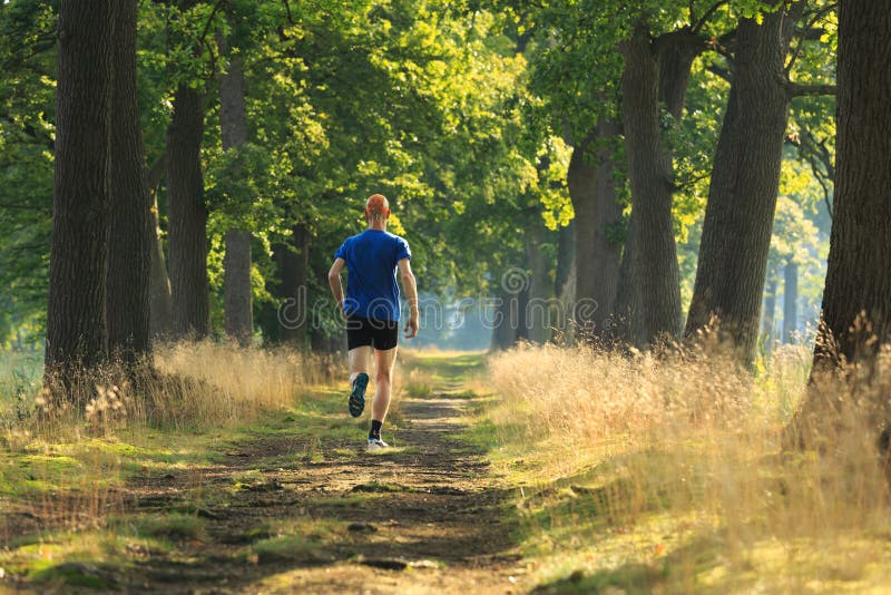 Trail run lane stock photo. Image of lifestyle, person - 44142346