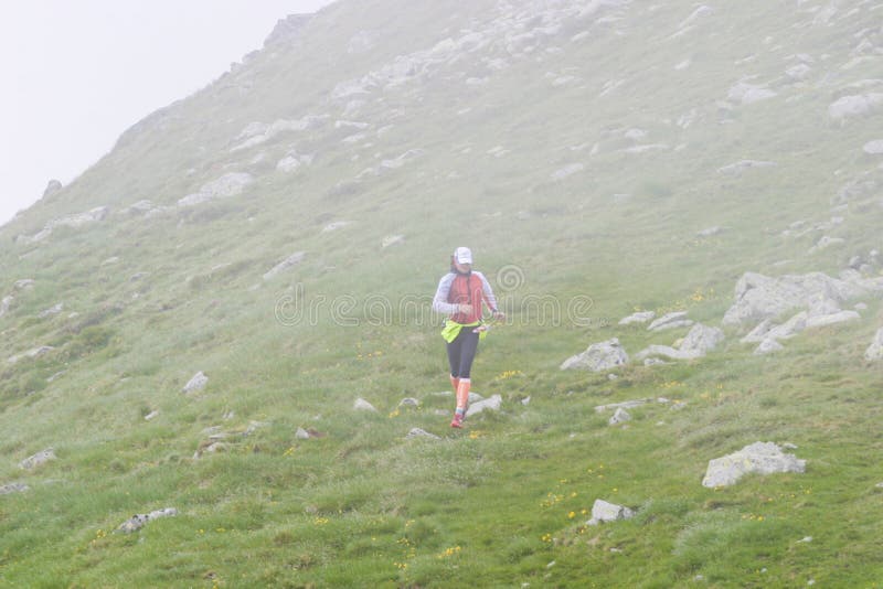 Trail Runners in a Mountain Race and Tourists Hiking on Retezat ...