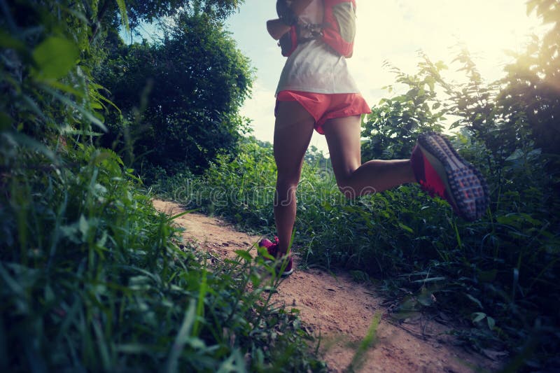 Trail Runner Running on Tropical Forest Trail Stock Image - Image of ...