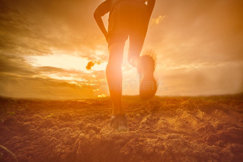 Trail running stock photo. Image of cross, summer, sport - 115141264