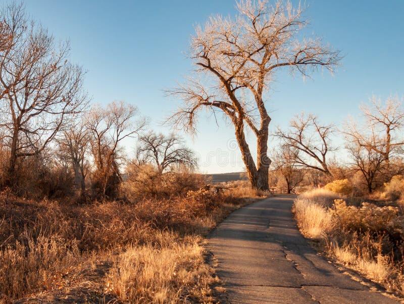 A Trail in Rusty Colored Autumn Stock Image - Image of autumn, denuded ...