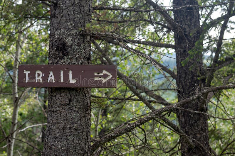 Trail sign on a tree stock image. Image of hanging, hiking - 185049055