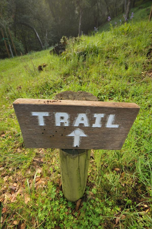 Trail Sign in the Woods Pointing Stock Image - Image of peaceful, path ...