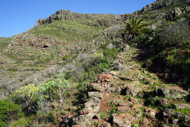 Trail on the slope stock image. Image of hill, grass - 140177815