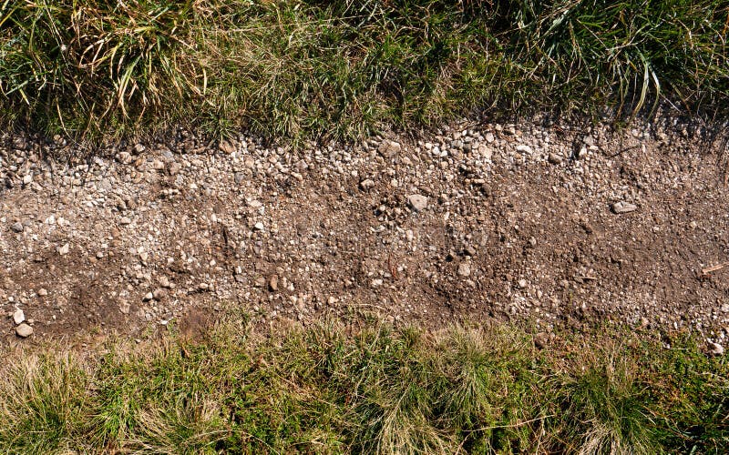 Trail with Small Gravel and Grass Stock Image - Image of stones, grass ...
