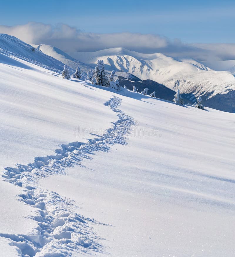 Trail in the Snow-covered Mountains Stock Photo - Image of bright ...
