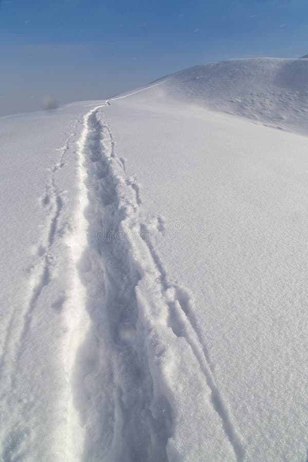 Trail in the Snow in the Mountains Stock Photo - Image of fairy ...