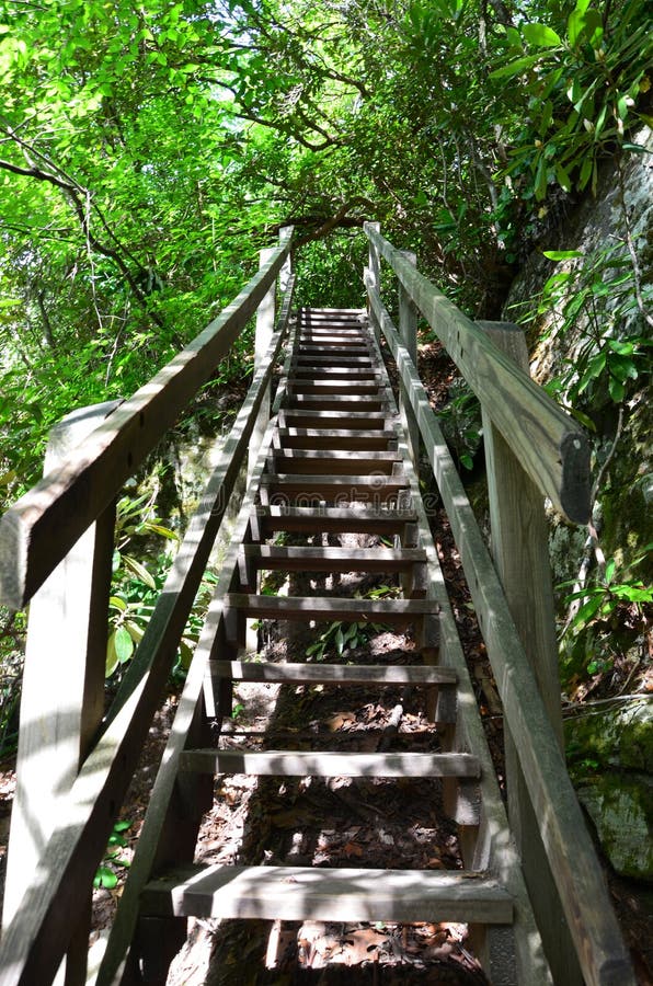 Trail stairs stock image. Image of rural, green, carolina - 56020139