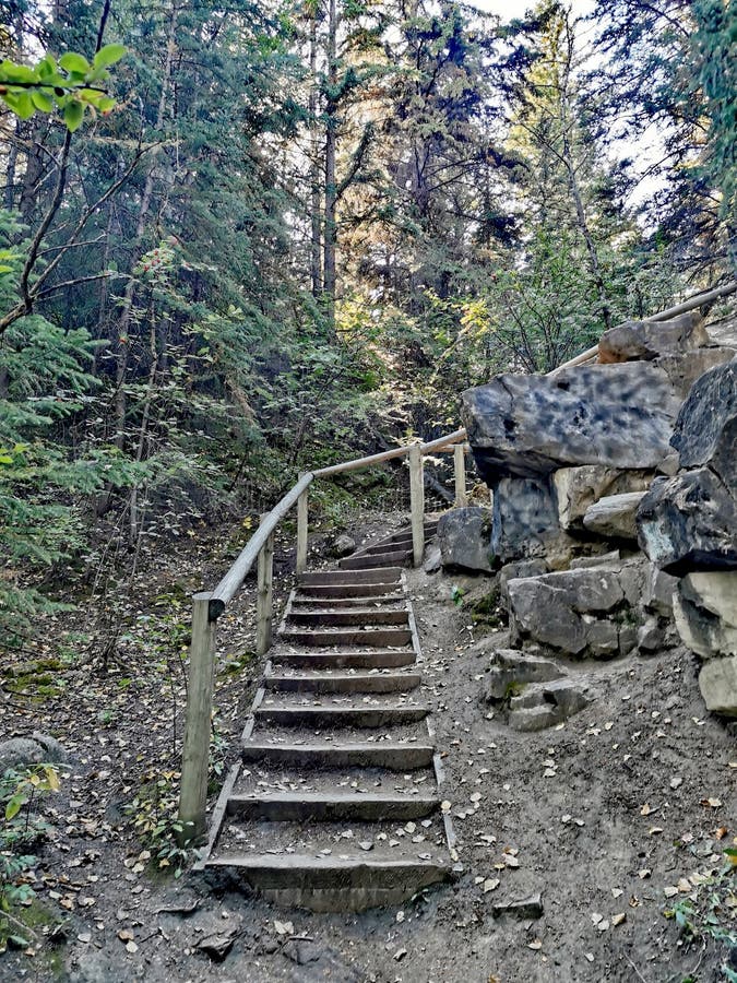 Trail Steps stock photo. Image of trail, stairs, fallen - 36300802
