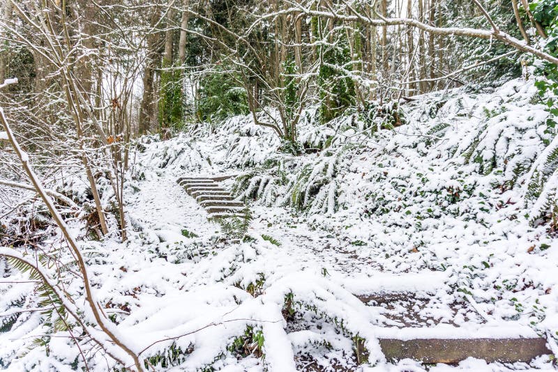 Trail Steps in the Snow stock image. Image of white - 142328549