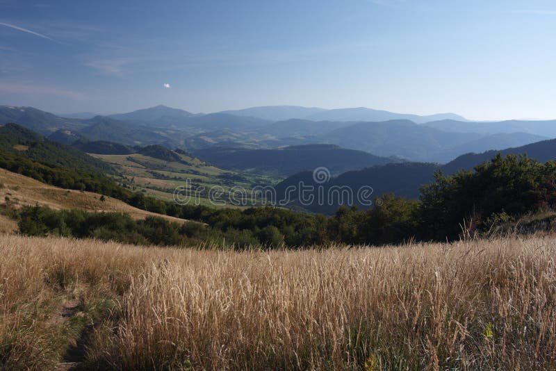On the Trail To Halicz Peak Stock Image - Image of hiking, trail: 11483403