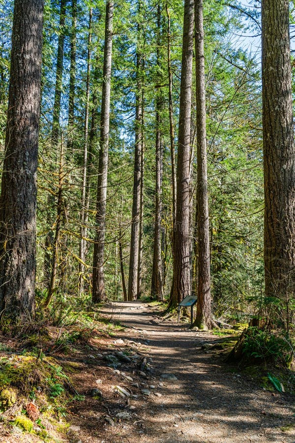 Trail To Twin Falls stock image. Image of trail, path - 367828265