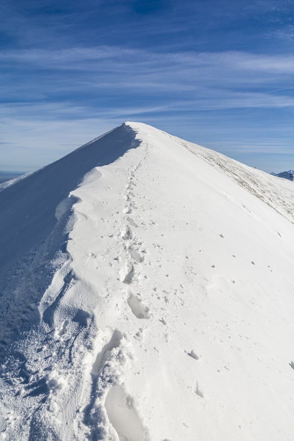 The Trail Tourist Founded in the Winter at the Edge of the Ridge Stock ...