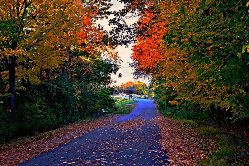 Trail stock image. Image of trees, walkway, fall, colorful - 65108117