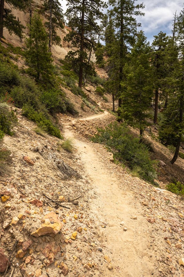 Trail Winds Around Riggs Spring Area Off the Rainbow Point Overlook in ...