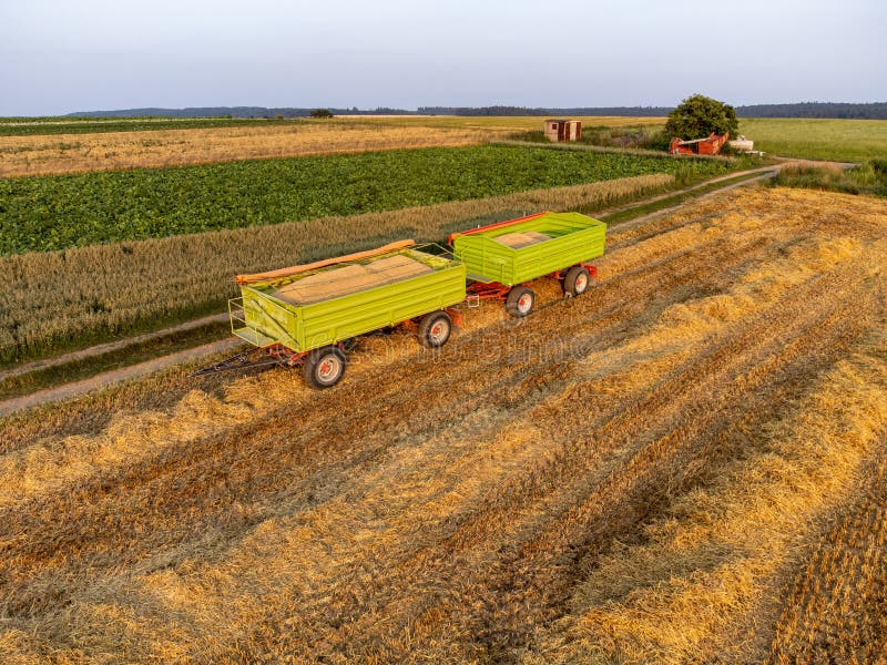 Trailer with Grain in Agriculture Stock Photo - Image of soil, drone ...