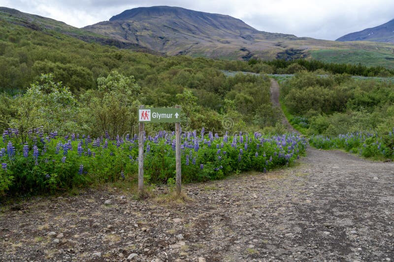 Trailhead Sign Points the Direction for Hikers To the Glymur Waterfall ...