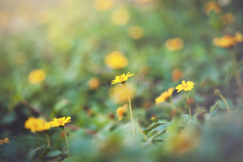 Indian Film Factory Stock Photos - Free & Royalty-Free Stock Photos ...