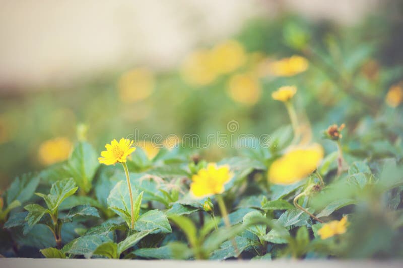 Indian Film Factory Stock Photos - Free & Royalty-Free Stock Photos ...