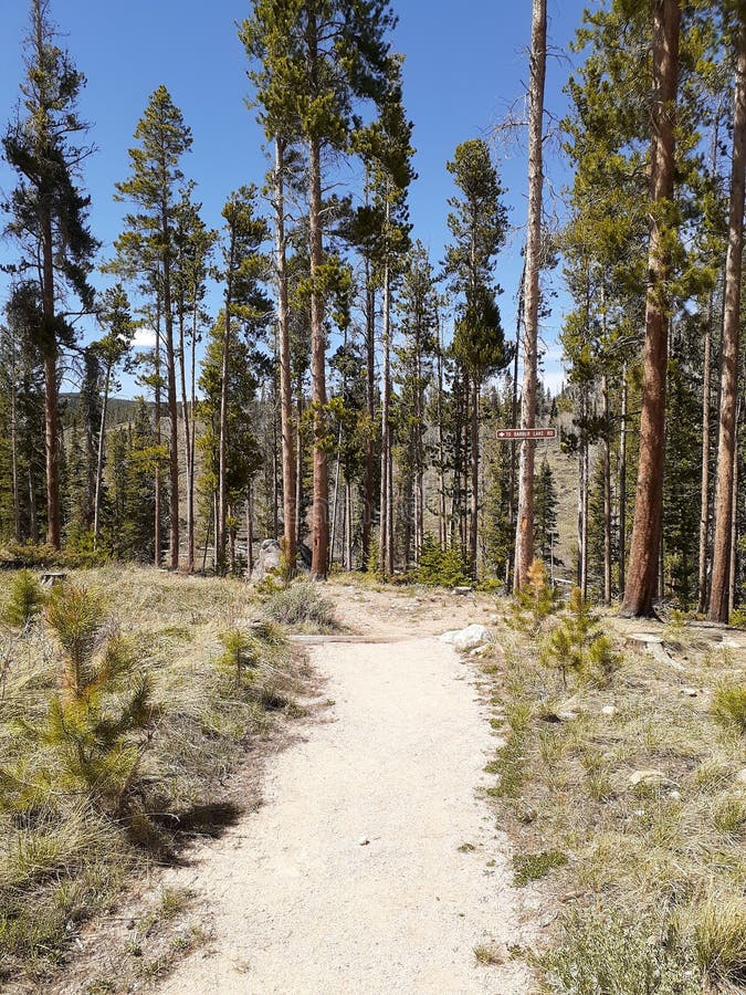 Trails at Centennial Wyoming Medicine Bow National Forest Centennial ...