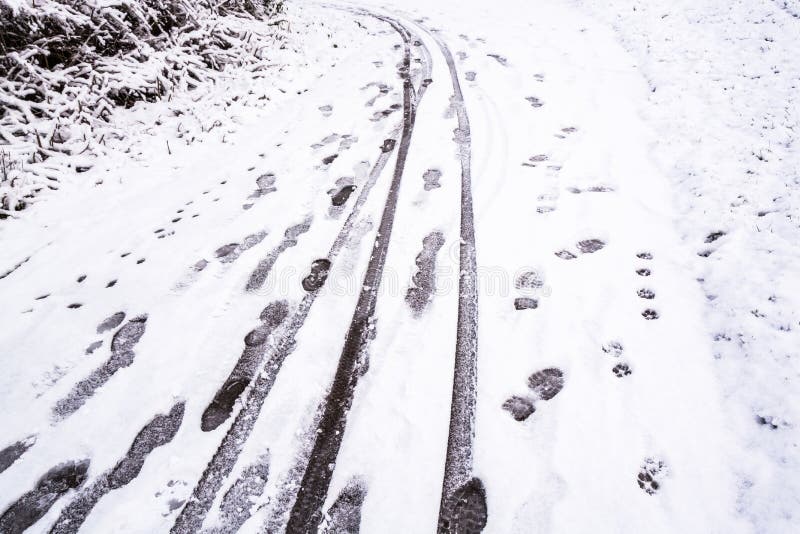 Trails and Footprints on Snow Covered Path in Winter 2 Stock Photo ...