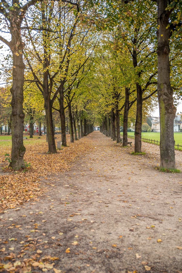 Trails stock image. Image of colour, muddy, disappear - 46622833