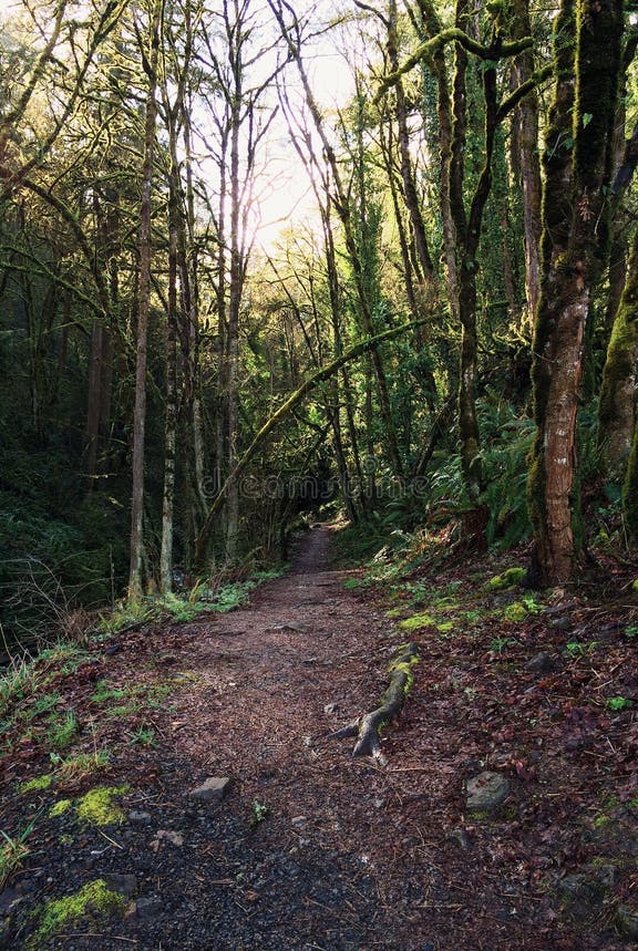Trails stock photo. Image of trails, loop, linton, trail - 68140508