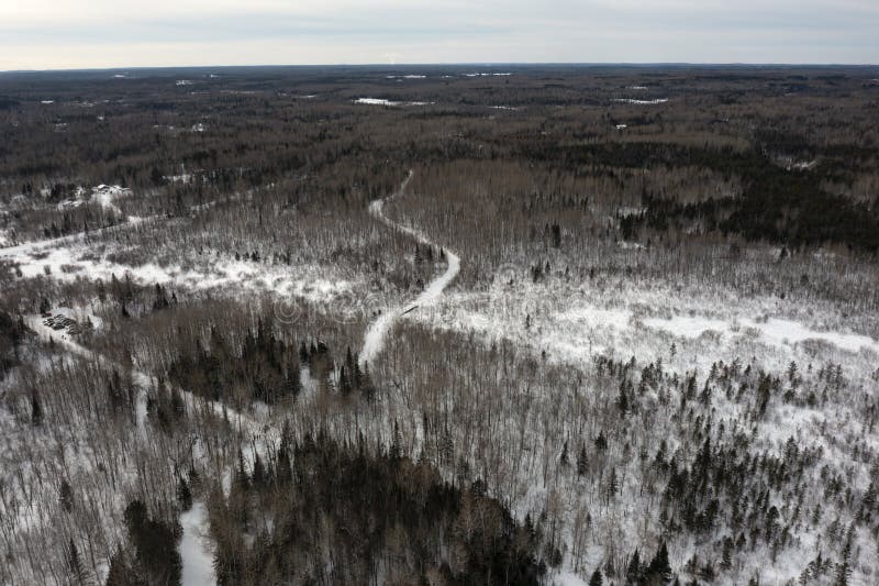 Trails Wind through Northern Minnesota Forest Stock Photo - Image of ...