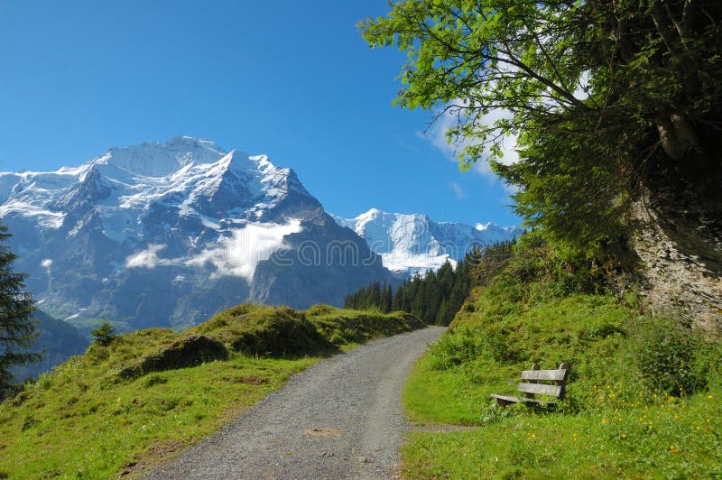 Trailside Bench stock photo. Image of alpine, flowers - 3002648