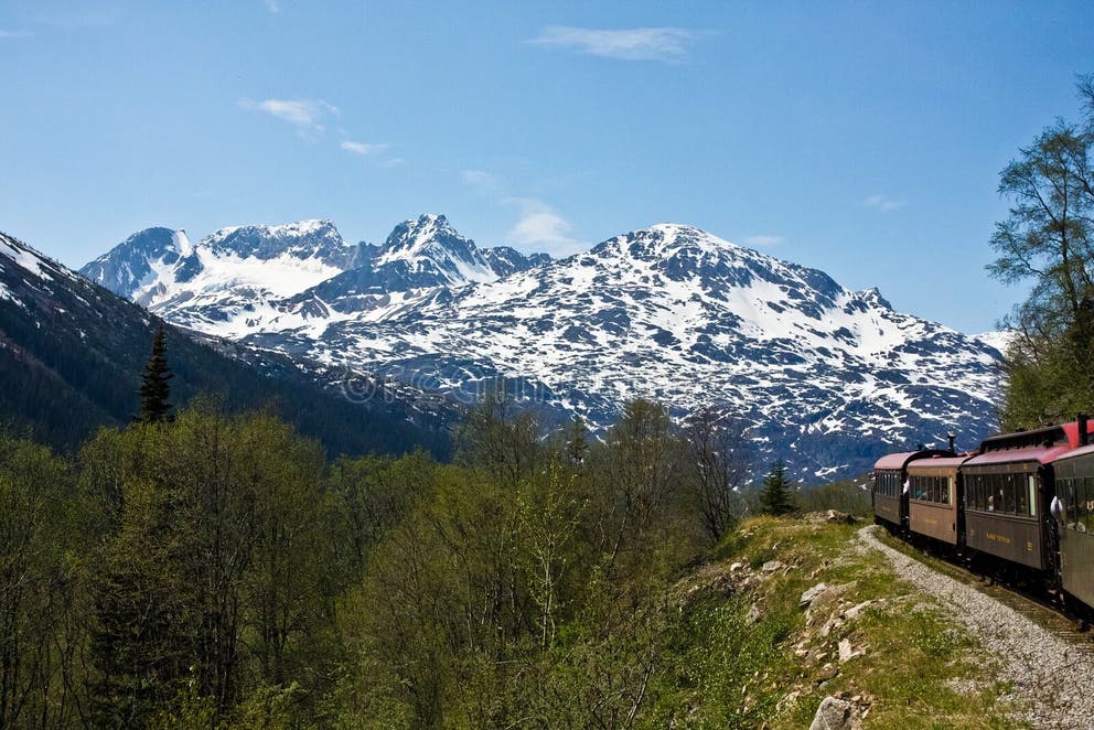 Train through Alaska stock image. Image of forest, blue - 21796207