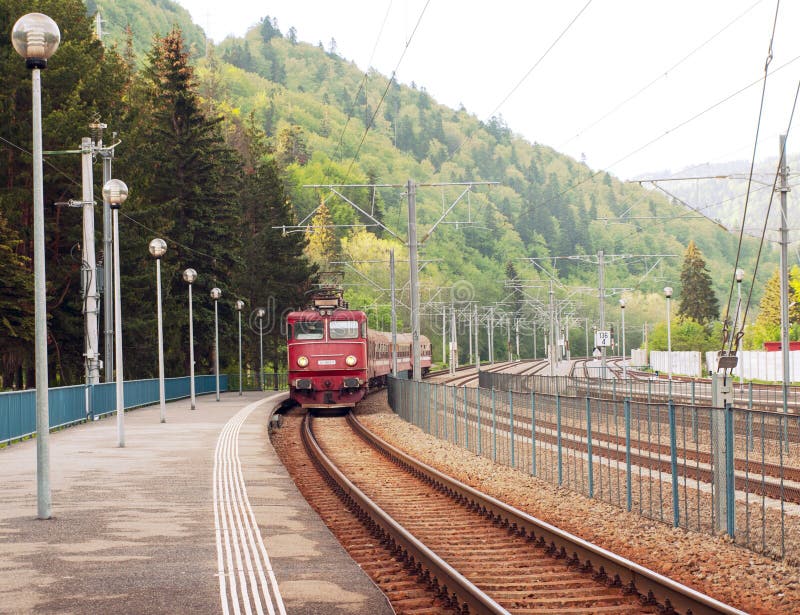 Train Arriving in a Station Stock Photo - Image of nature ...