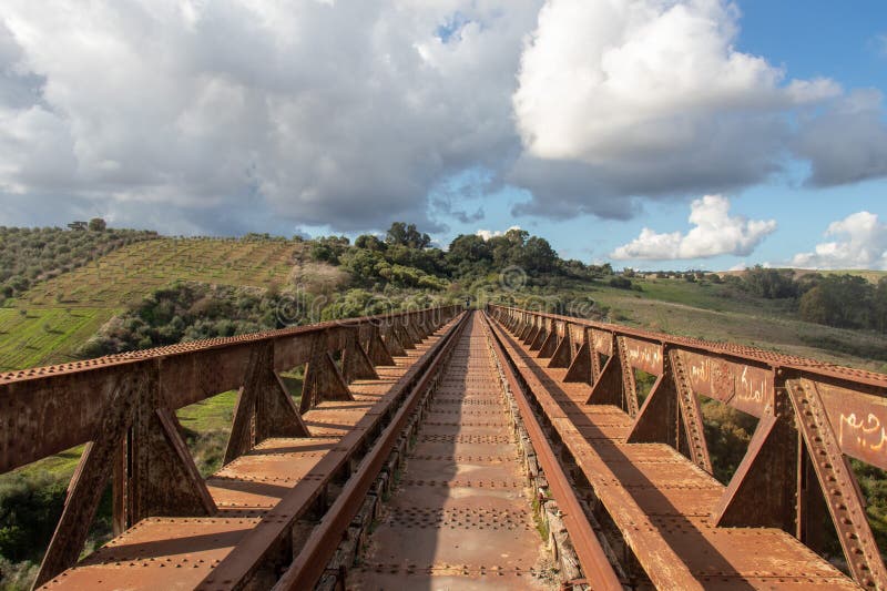 Zitoun Stock Photos - Free & Royalty-Free Stock Photos from Dreamstime