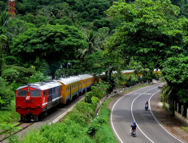 Train covered by Trees stock photo. Image of forest - 270111394