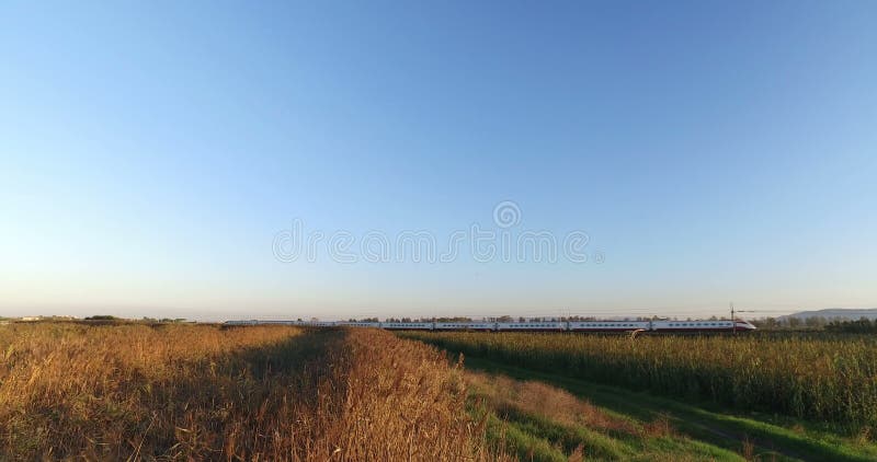 Train in the Distance Passing through a Field Stock Footage - Video of ...