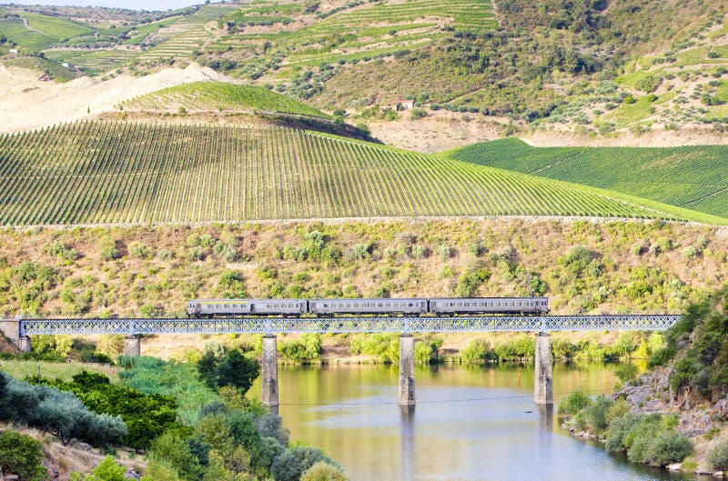 Train in Douro Valley stock image. Image of river, portugal - 11673581