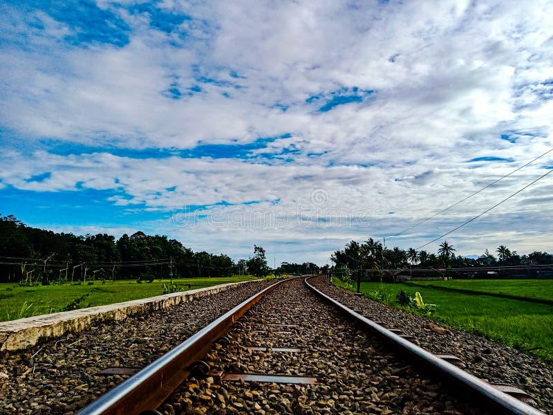 Train at field stock image. Image of train, highway - 205924523