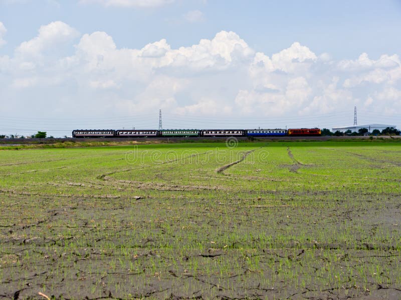 Train and field stock image. Image of leaf, scene, tropical - 31166041