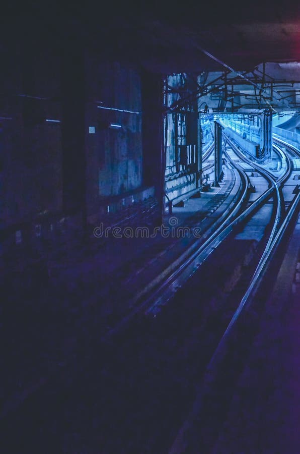 Train on Illuminated Railroad Station Platform at Night Editorial ...