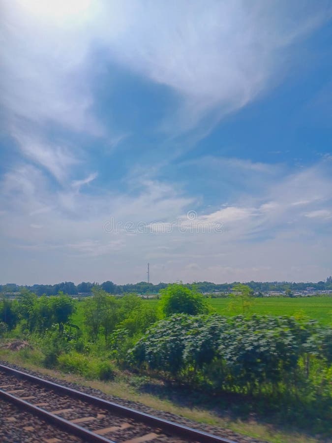 Train Journey through Verdant Fields Under a Blue Sky with Wispy Clouds ...
