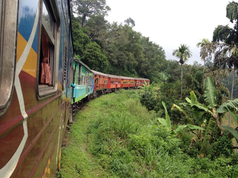 Train in the jungle stock image. Image of jungle, lanka - 42805609