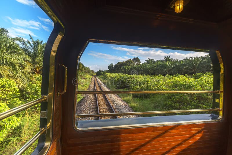Train in the Jungle of Malaysia. Stock Photo - Image of transportation ...