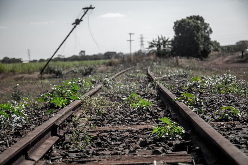 Train line stock photo. Image of path, rail, outdoor - 95559466