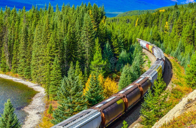 Train Passing Famous Morant`s Curve in Banff ,Canada Stock Image ... Train Passing Famous Morant`s Curve in Banff ,Canada Stock Image ...